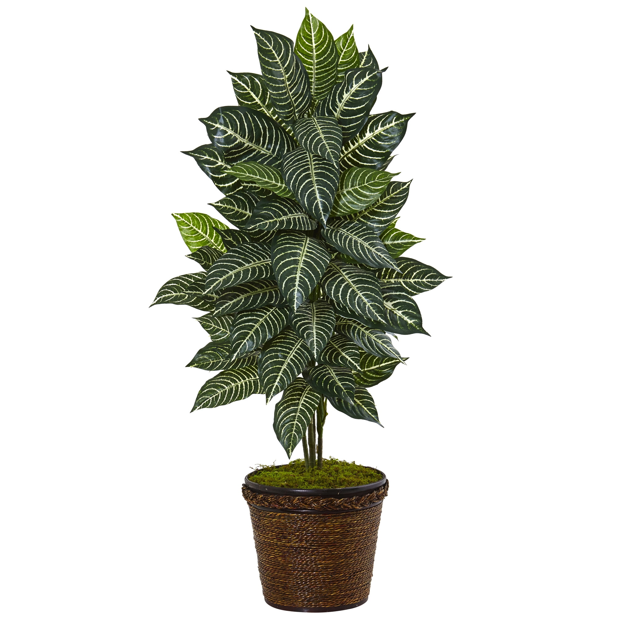 Nearly Natural 4 ft. Zebra Artificial Plant in Coiled Rope Planter ...