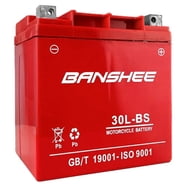 Deka Power Sports Motorcycle AGM Battery ETX20L with 310 CCA - Walmart.com
