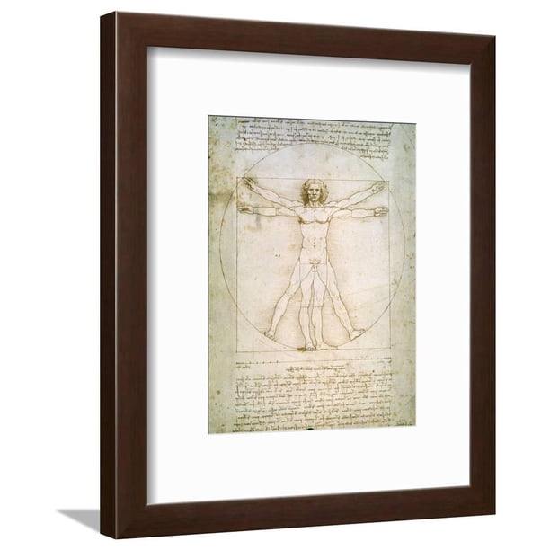 Leonardo Da Vinci Vitruvian Man