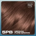 Clairol Nice'n Easy Pure Brunettes Permanent Hair Color Creme, 5PB ...