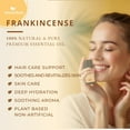Frankincense & Grapeseed Essential Oil Dropper Bottle for Anti-Aging ...