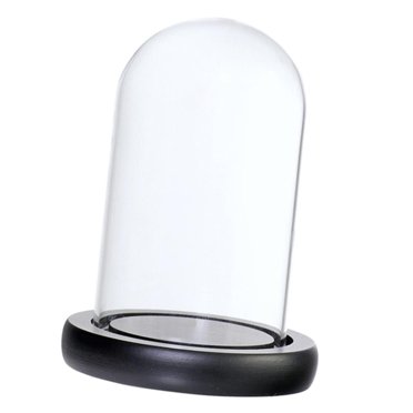 Decorative Glass Cloche Bell Jar Dome with Wooden Base Display Decor ...