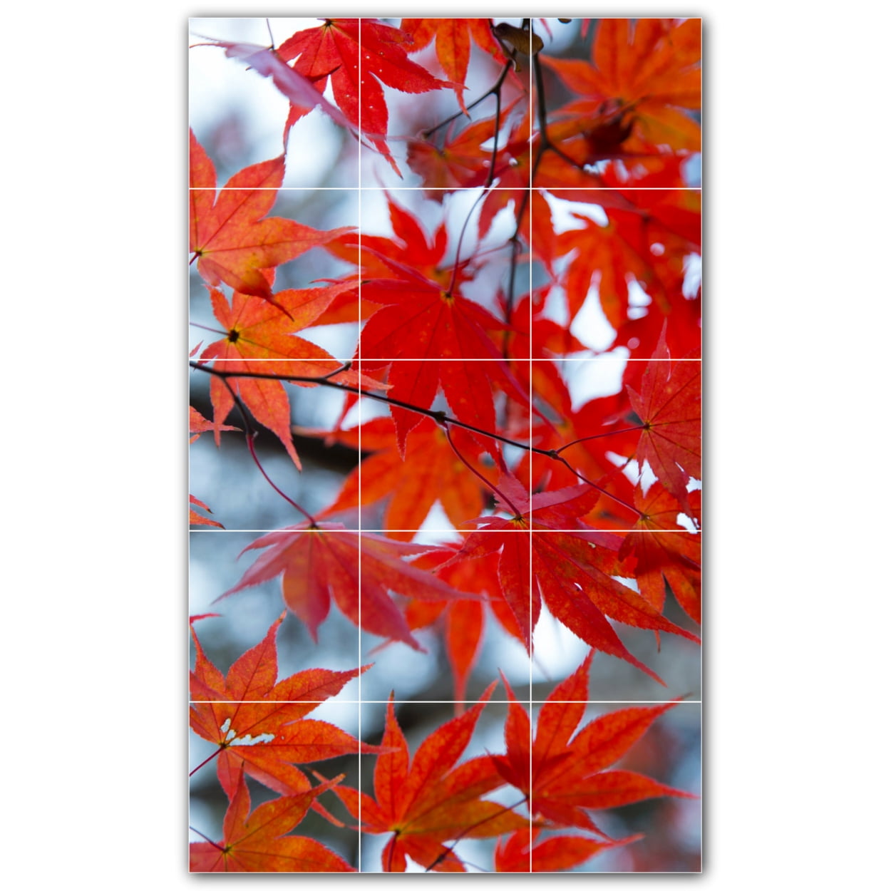 Picture-Tiles.com: Autumn Ceramic Tile Wall Mural WAL500016-35M. 18"W x ...