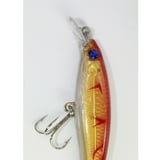 Wildlife Lures 3" inch Bunker Hard Fishing Lure Bait (Clownfish ...