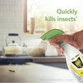 Raid Essentials Multi-Insect Killer 29, Plant-based Insecticide with ...