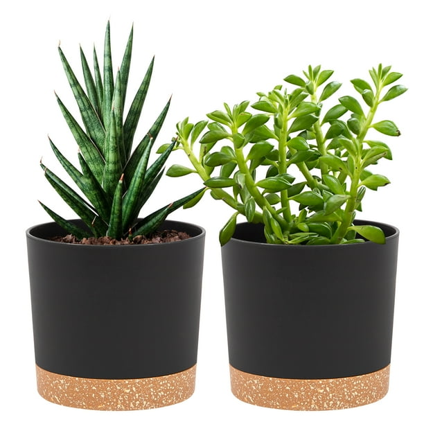 QCQHDU 2 Pack Plant Pot, Black Plastic Indoor Planter With Drainage ...