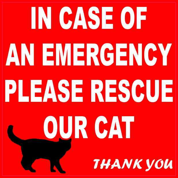 4inx4in In Case Of An Emergency Rescue Our Cat Sticker Vinyl Animal ...
