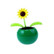 Dancing Solar Power Flower Orange Daisy in Assorted Colors Pots Solar ...