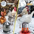 Thermostat Chicken Water Heater for Winter, Poultry Water Warmer Base ...