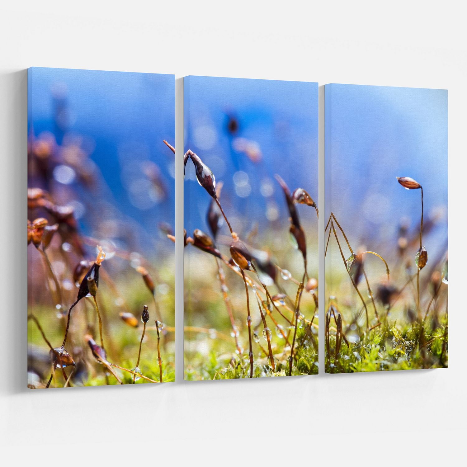 Click here for Designart Design Art Summer Spring Moss Flowers Ca... prices