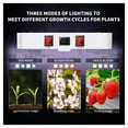 2PCS 3000W LED Grow Light 301h Phytolamp For Indoor Plants Seedlings ...