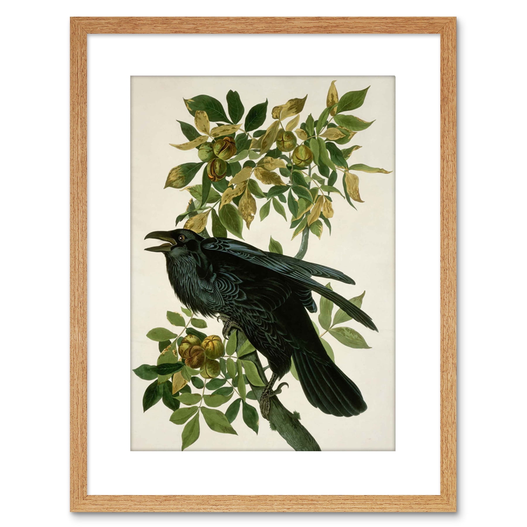 Painting Nature Animal Bird Audubon Raven Artwork Framed Wall Art Print ...