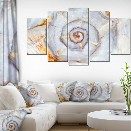 Great Skeleton of Sea Shell - Oversized Animal Wall Art - Walmart.ca