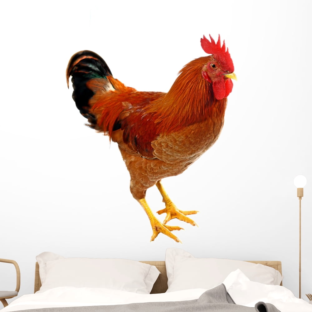 Red Rooster Wall Decal Sticker, Wallmonkeys Peel & Stick Vinyl Graphic ...