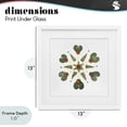 Stupell Industries Lily Pad & Fern Mandala White Framed Print Under ...