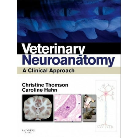 Veterinary Neuroanatomy: A Clinical Approach | Walmart Canada