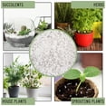 Horticultural Perlite Soil Additive (8 Quarts); for Enhanced Potting ...