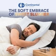 Continental Bedding Endless Comfort Siberian 800FP 100% Goose Down ...