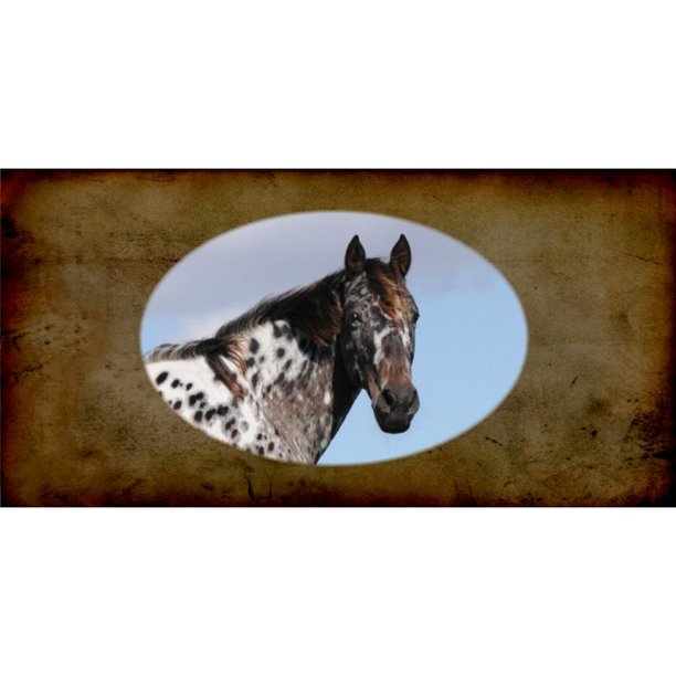 Appaloosa Horse Photo License Plate Free Personalization on this Plate ...