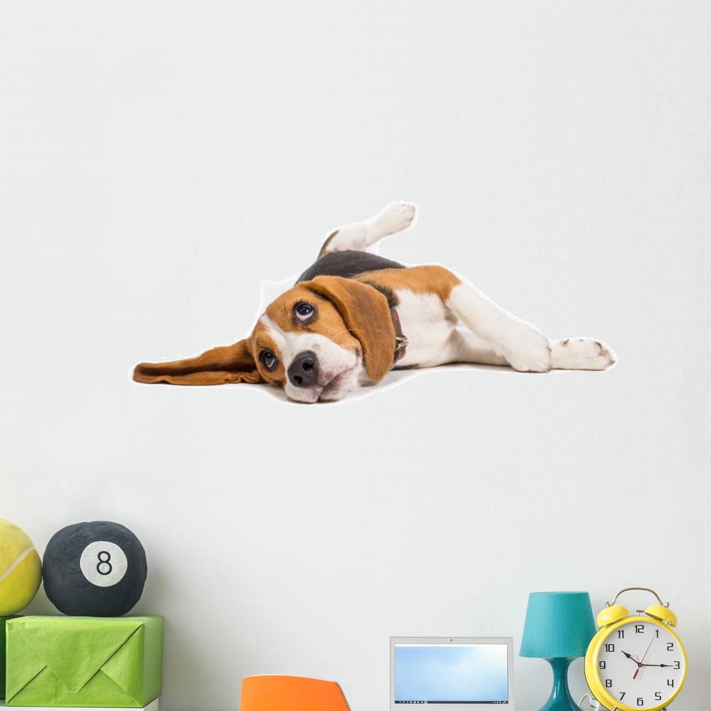 Beagle Dog White Wall Decal by Wallmonkeys Peel and Stick Graphic (48 ...