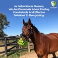GG Equine Grazing Muzzle for Horse - Lighter, Durable Horse Accessories ...