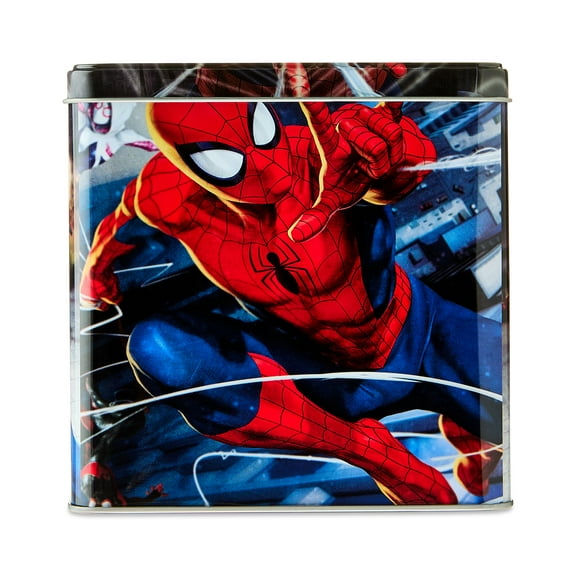 Hello Kitty Round Shaped Tin, 1 Count, Way to Celebrate, Party Favors ...