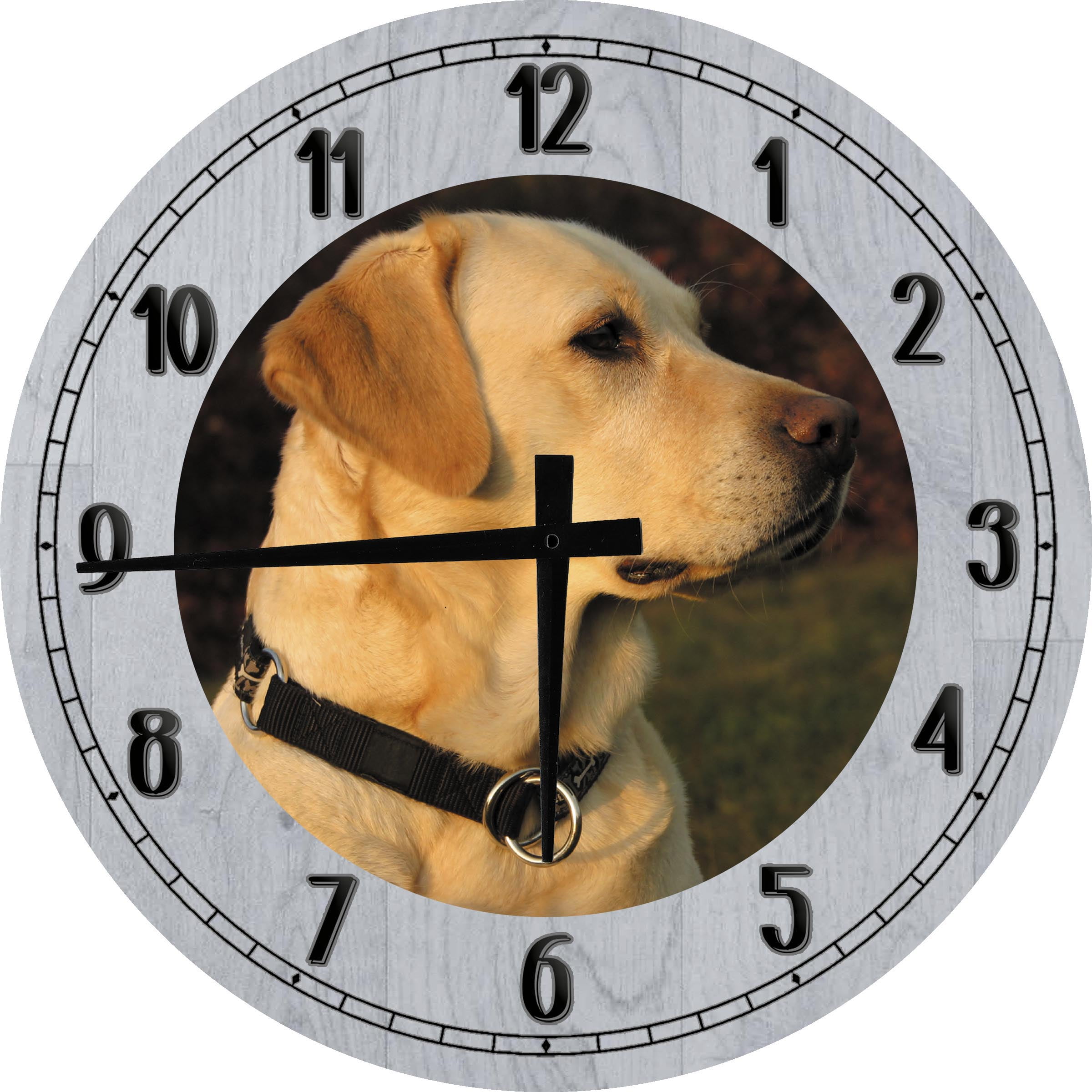 Large Wood Wall Clock 24 Inch Round Golden Lab Labrador Retriever ...