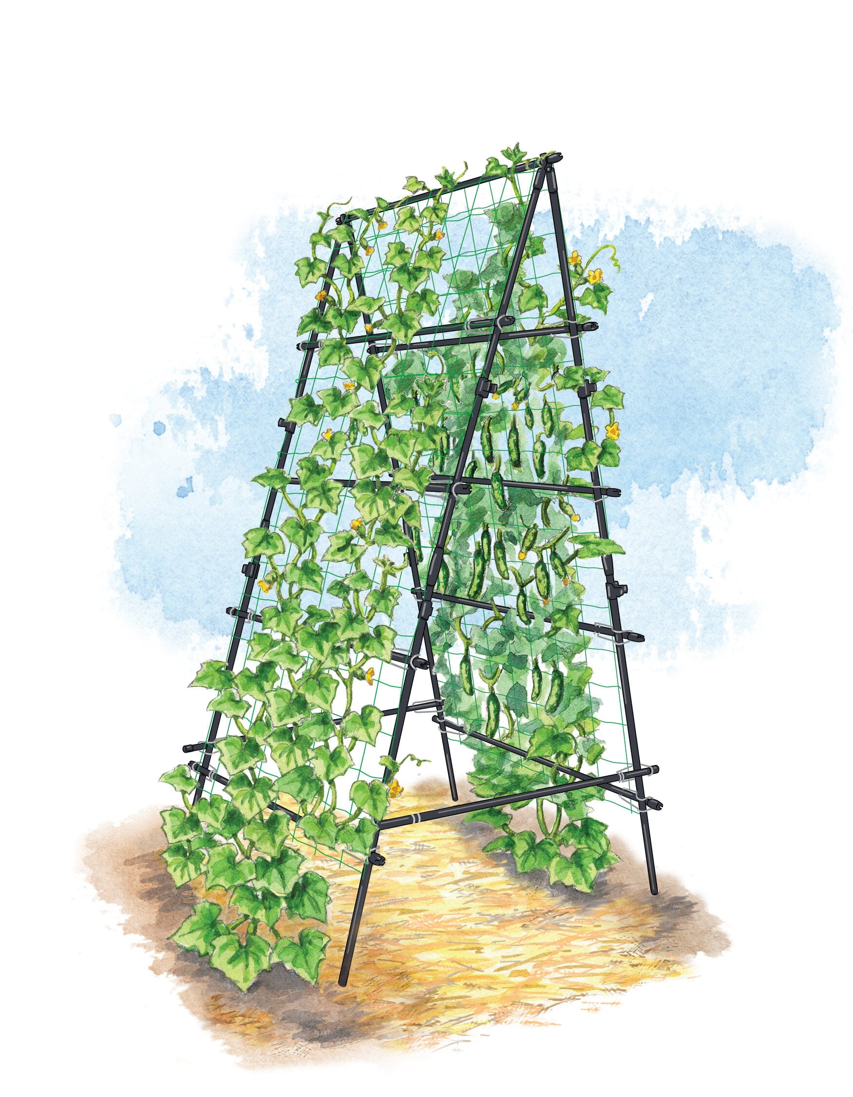 Titan A-Frame Trellis - Walmart.com