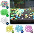 Pluokvzr 100Pcs Glow Rocks Luminous Cobblestones Glow in the Dark ...