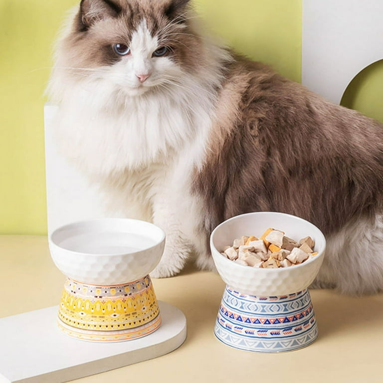 Raised Cat Food Bowls Ceramic Tilted Cat Food and Water Bowl Set Elevated Pet Feeding Bowls Stress Free for Kitten Elder Cats Small Dogs Anti Vomiting Neck Protection Walmart