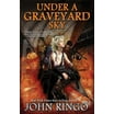 Black Tide Rising: Under a Graveyard Sky (Series #1) (Paperback ...