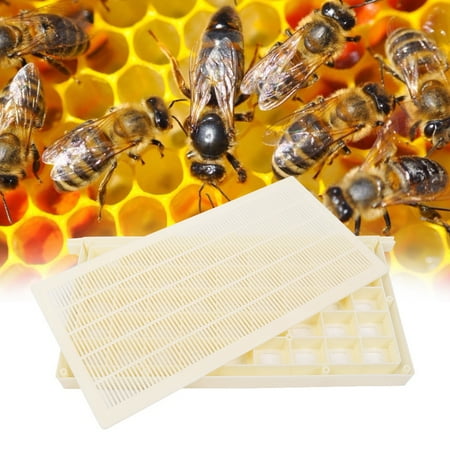 Plastic Material Queen Cultivating Cage, Queen Rearing Cupkit System ...