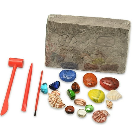 Rock Dig Kit Realistic Educational Stone Digging Kit Excavation Toy for ...