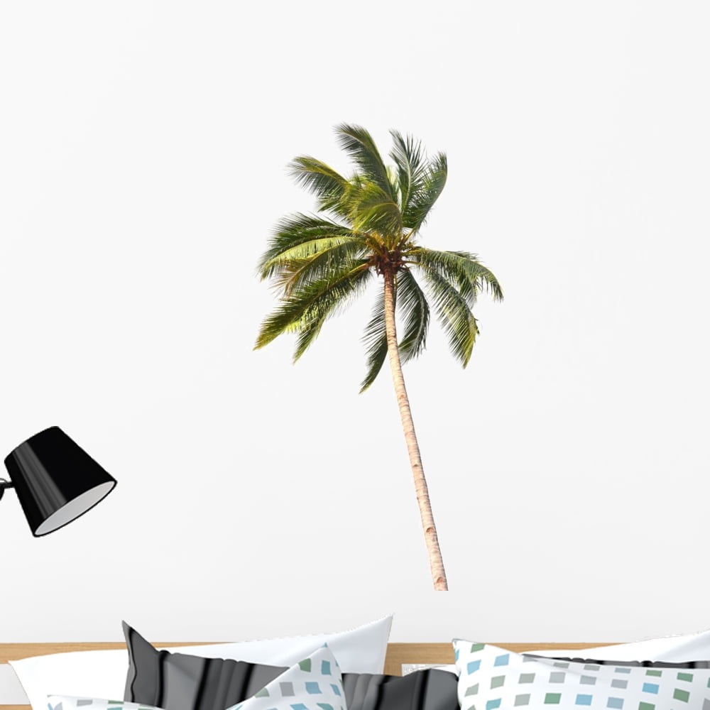 Coconut Tree Wall Mural by Wallmonkeys Peel and Stick Graphic (36 in H ...
