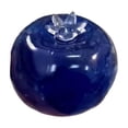 Blueberry Shaped Squeeze, Slow Rising Stress Ball, Squeeze Balls for ...