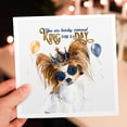 3drose, Cute Papillon Dog in a Crown for Dads Birthday King for a Day ...