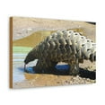 Funny Pangolin Silly African Tree Pangolin Outside Wall Art Ready to ...