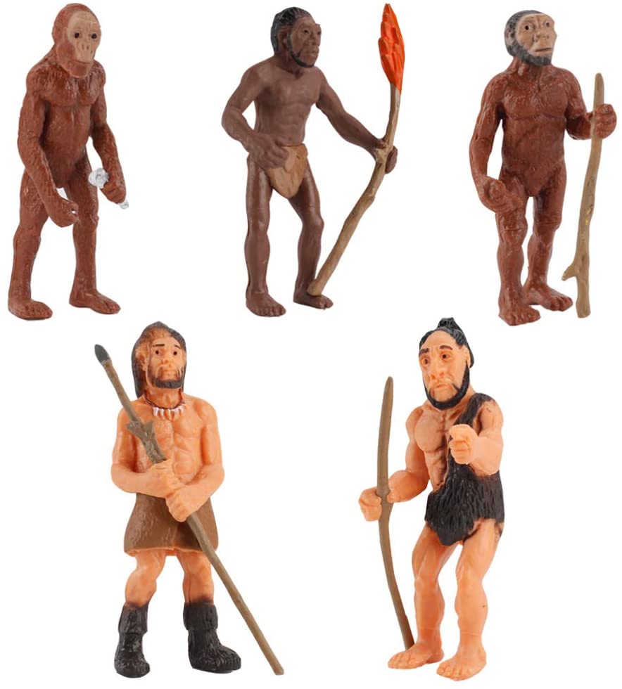 MEEYreg Evolution of Man Model, 5 Pieces Emulation Primitive Human ...
