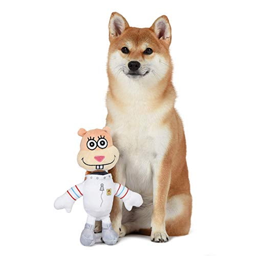 Buy Nickelodeon Spongebob Squarepants Sandy Figure Plush Dog Toy | 9 ...