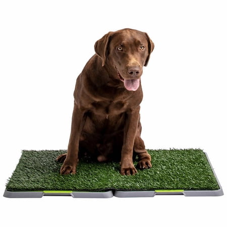 Potty Patch Indoor/Outdoor Training Turf Washroom for Dogs | Walmart Canada