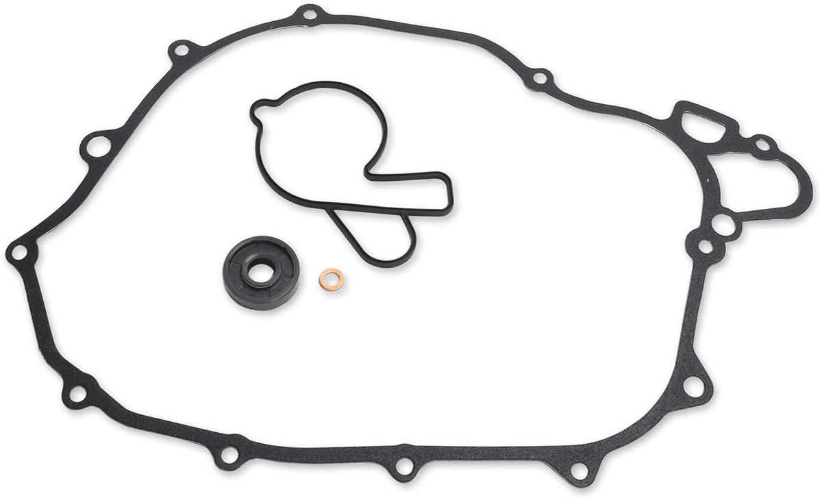 Athena Water Pump Repair Kit P400270470016 - Walmart.com