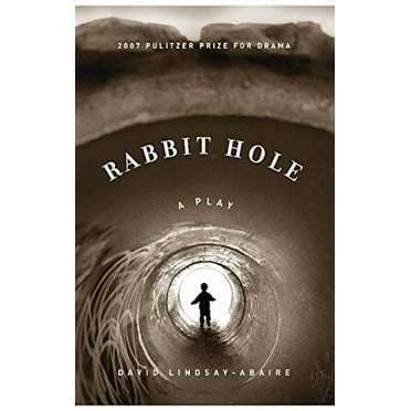 Fairy Homes and Gardens (Hardcover) - Walmart.com