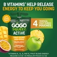 GoGo squeeZ Active Energy No Sugar Added Tropical Fruit Blend Pouches ...