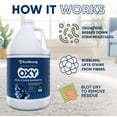Oxy Pet Carpet Cleaner Spray | Pet Stain Remover for Pet Urine, Cat Pee ...