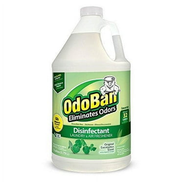 OdoBan Solid Odor Absorber for Home and Small Spaces, Citrus Scent, 14 ...
