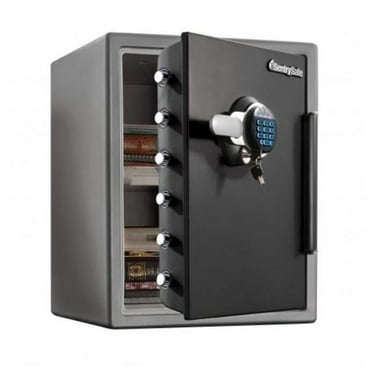 SentrySafe HD4100 Fire-Resistant and Water-Resistant Box Safe with Key ...