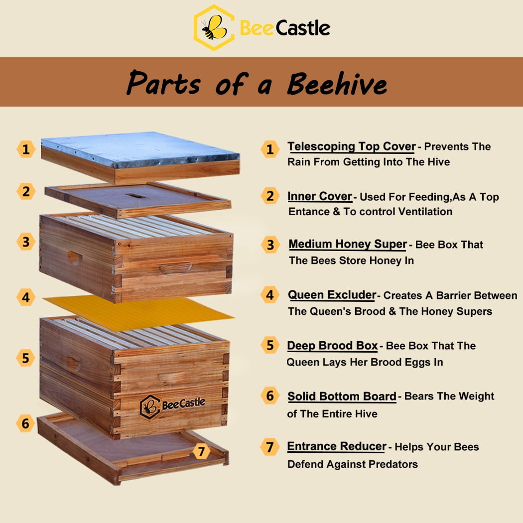 Bee Castle 8-Frame Beeswaxed Langstroth Beehive Kit ( 2 Deeps and 1 ...