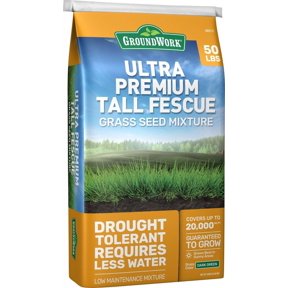 Marathon II Grass Seed Mix, 5lb, Dwarf Tall Fescue, Dense and Durable ...