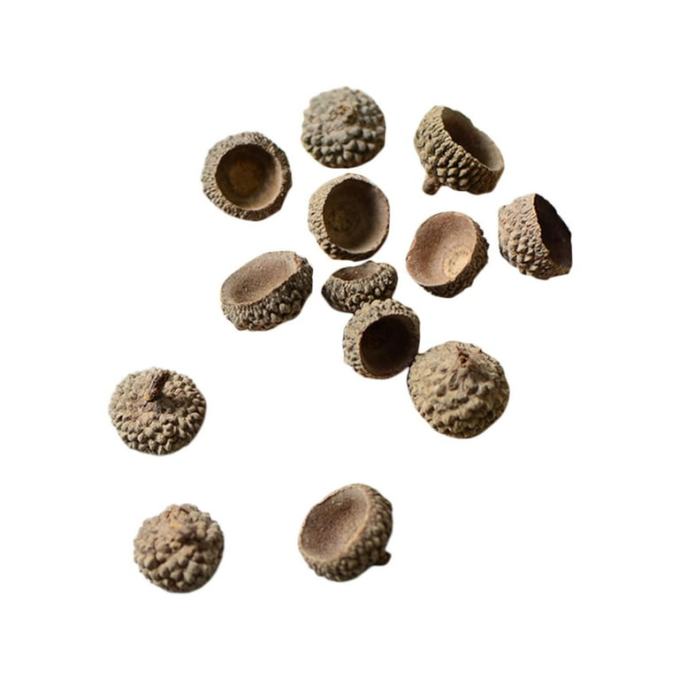 40 Plastic Acorns With Real Caps Assorted Sizes Fall Bowl Fillers