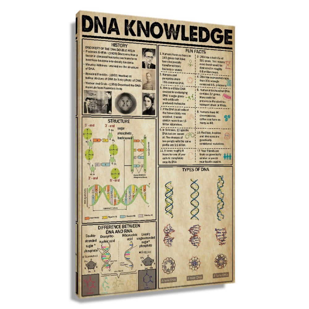 Dna Wall Art Knowledge Posters For Bathroom Artwork Decorative Canvas ...